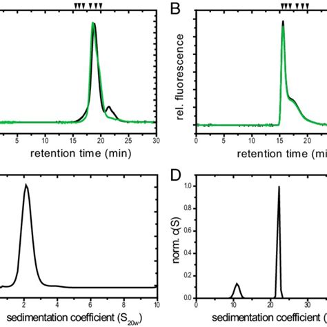 Quaternary Structure Of Hsp17 7 And Hsp 20 2 A And B Sec Hplc Was