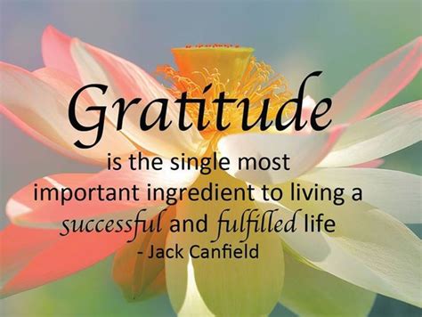 17 Best Images About Quotes On Pinterest Narcissist Quote Life And