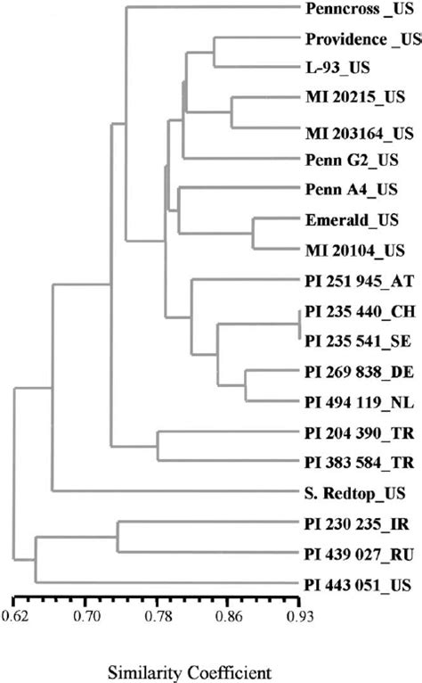 the unweighted pair group method with the arithmetic mean dendrogram of