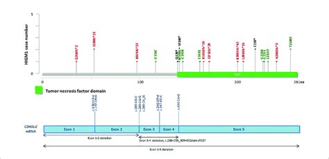 Distribution Of Casual Mutations In Various Exons Exon Intron