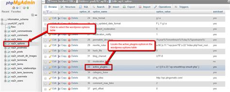 How To Disable Wordpress Plugins Directly From Database