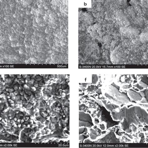 Macro Morphology Of A B E And F Test Steels After Salt Spray