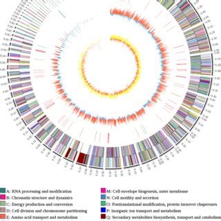 Circular Genome Map Of S Mediocidicus ATCC23936 The Scales At The