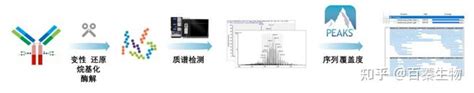 生物药表征及工艺控制丨一级结构——肽图分析 知乎