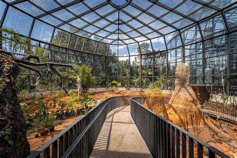 Galería De Tropicario Jardín Botánico De Bogotá Darp De