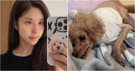 “내가 가해자라고” 김준희 개물림 사고 부주의 지적에 ‘분노 세계일보