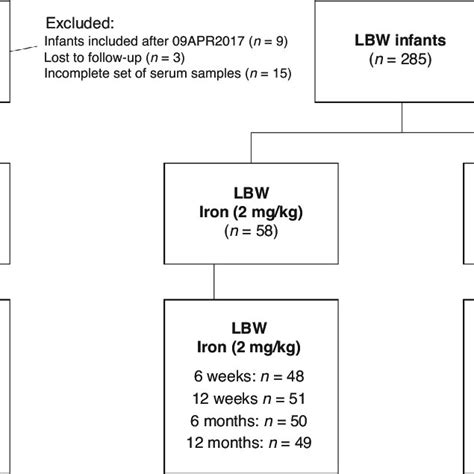 Trial Profile The Study Included 45 Normal Birth Weight Nbw