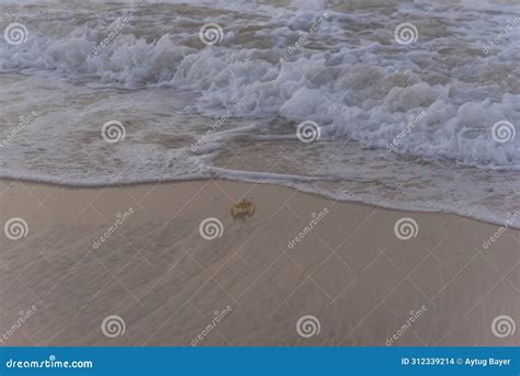 Oman Images From Various Cities Old Buildings Landscapes Villages