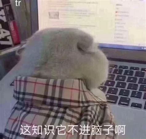 科普｜雅思分数如何计算，如何估算自己的基础分数 知乎