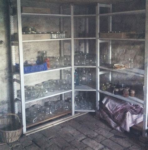 Our Root Cellar In The Basement Ladder Decor Root Cellar Shelving