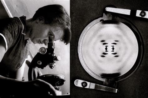 Inspiring Women To Be Remembered Rosalind Franklin Cinco