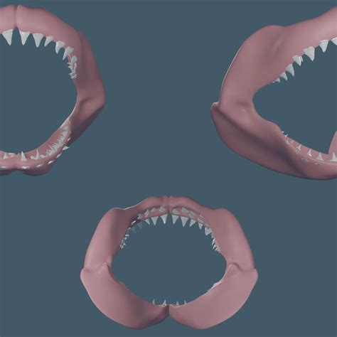 Csulb Shark Lab Home Facebook