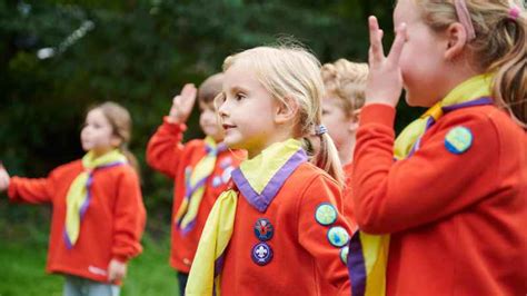 Making Your Scout Promise Scouts