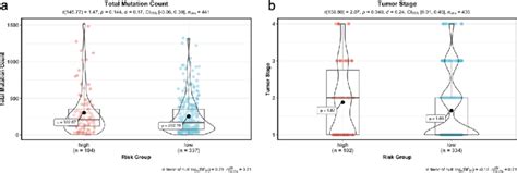 correlation analysis between risk groups with total mutation count and