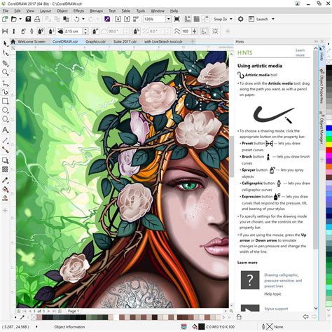 CorelDRAW Graphics Suite With RAW Photo Editing Software For PC