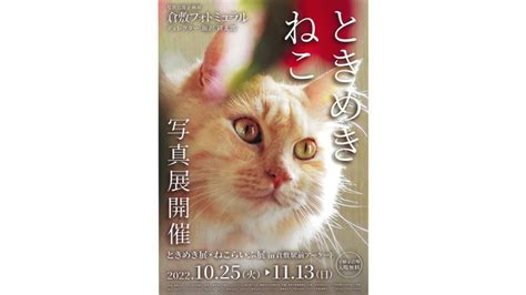 倉敷フォトミュラルときめきねこが開催Photo Culture Tokyo