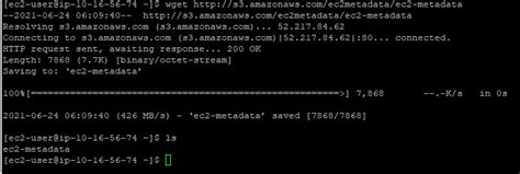 how to access instance metadata from aws ec2 instance