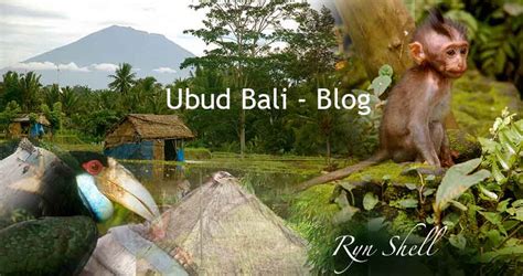 Kathryn Kathrynshell Twitter