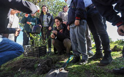 Ministra Del Medio Ambiente Encabezó Plantación De árboles Nativos Para