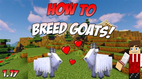 Minecraft How To Tame Goats At Susan Pittman Blog
