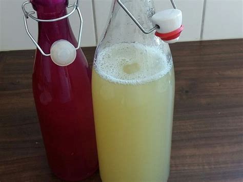 Limonen Ingwer Limonade Von Kritisch Chefkoch