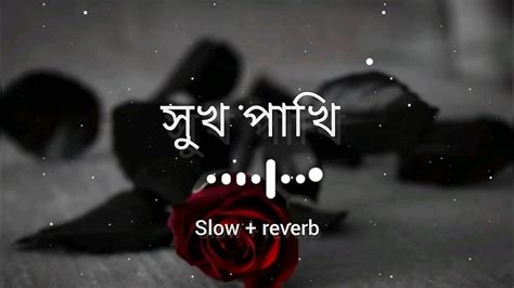 সুখ পাখি তোর প্রেমে মন মজাইয়া আমি Shukh Pakhi Tor Preme Bm Baplu