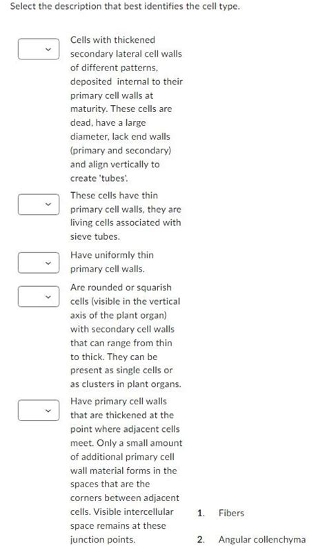 Solved Select The Description That Best Identifies The Cell Chegg