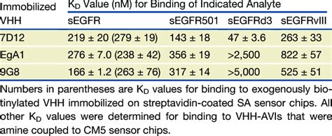 Equilibrium Binding Constants Of Segfr Binding To Inhibitory Vhh