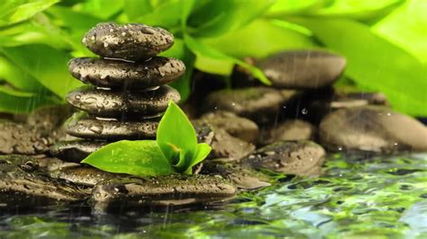 Relaxing Nature Sounds Sound Of Rain Zen Rain Youtube
