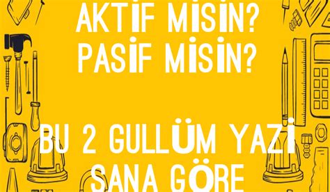 İzmir Aktif Gay Pasif Gay