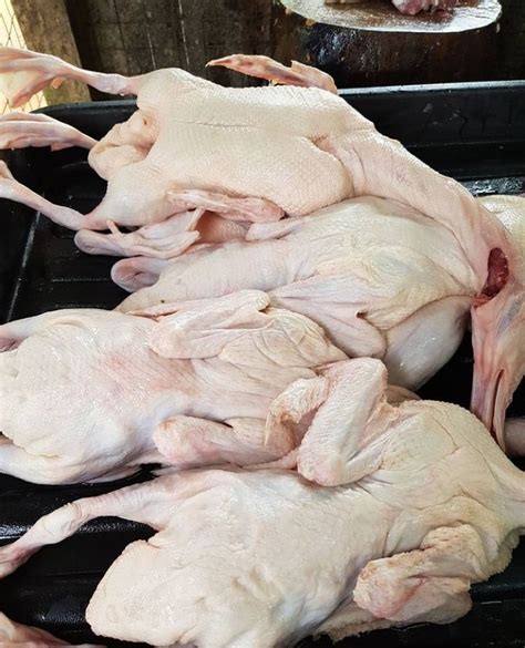 Resep Nasi Itik Gambut Khas Banjarmasin