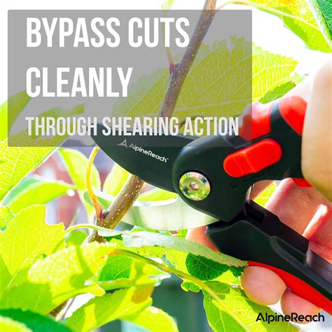 Pruning Shears Set Bypass And Anvil For Gardening Sharp Ergonomic Pruners