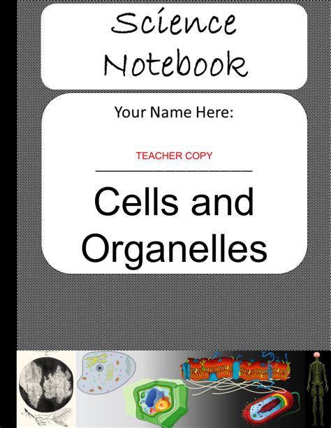 Diffusion And Osmosis Through The Cell Membrane Teacher S Version Of