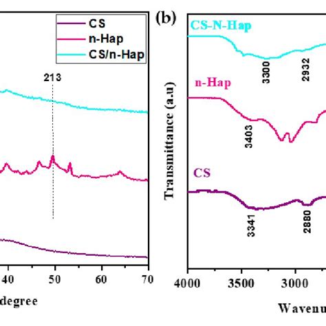 A Xrd Patterns And B Ft Ir Spectra Of Cs N Hap And Csn Hap