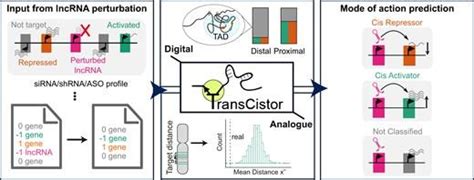 Nccr Rna And Disease On Linkedin Functional Identification Of Cis