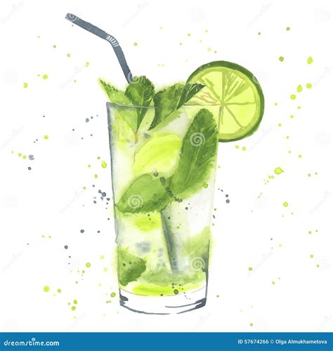 Watercolor Mojito Stock Vector Image 57674266