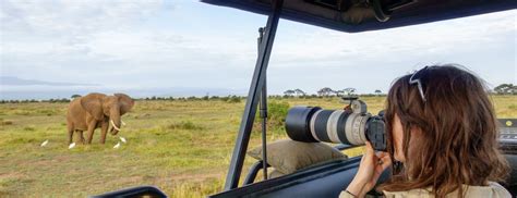 Best Camera For African Safari African Safaris Tours Africa