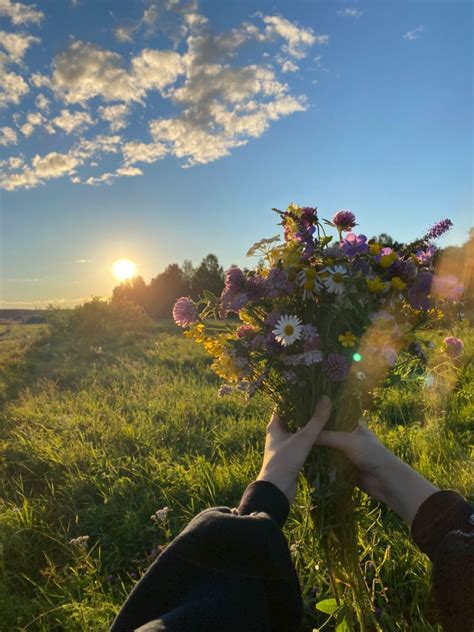 Эстетика лета Sommerfotos Ästhetische Bilder Natur
