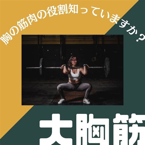 高知県・高知市 ストレッチ専門店ストレチックス土佐道路店 はじめてのストレッチ専門店なら【ストレチックス】東京都（文京区・北区・中央区