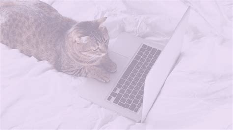 Comment Améliorer Son Seo La Méthode Complète Et Efficace