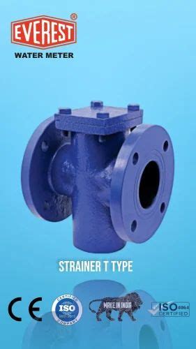 Carbon Steel Water Meter Strainer At ₹ 2300 In New Delhi Id