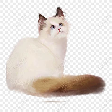 귀여운 일러스트 흰색 고양이 팔레트 원소백색모직 Png 일러스트 무료 다운로드 Lovepik