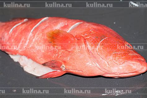 Красный окунь в духовке – рецепт приготовления с фото от Kulina.Ru