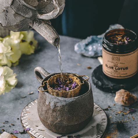 Blue Lotus By Anima Mundi Wildcrafted Tea Kaya Holistic