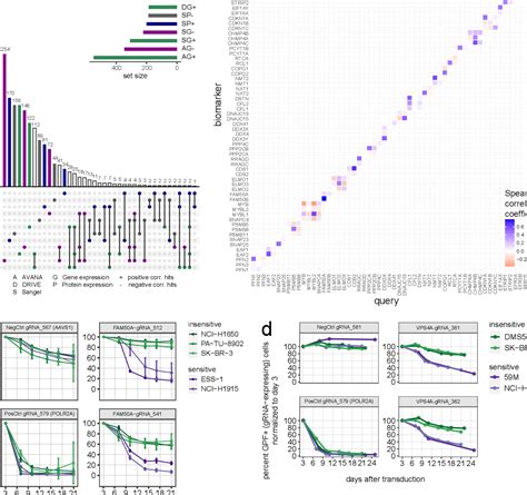 Figure 3 From Interrogation Of Cancer Gene Dependencies Reveals Novel