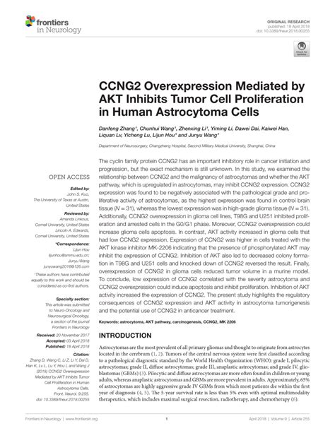 Pdf Ccng2 Overexpression Mediated By Akt Inhibits Tumor Cell