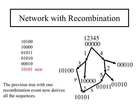 ppt erice structured pattern detection and exploitation powerpoint