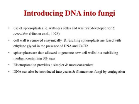 Cloning And Expression System In Yeast