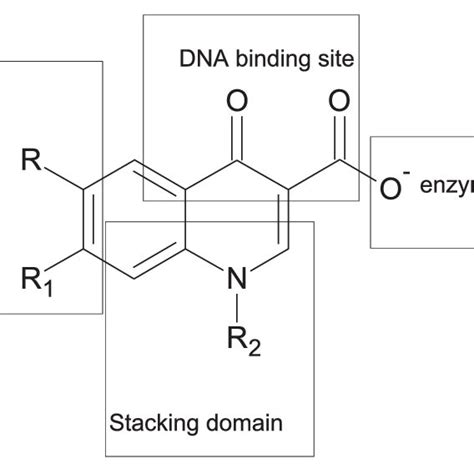 Classification Of Fluoroquinolones Download Table