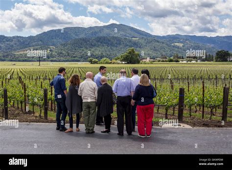 People Tourists Wine Tasting Tour Wine Tasting Tasting Tour